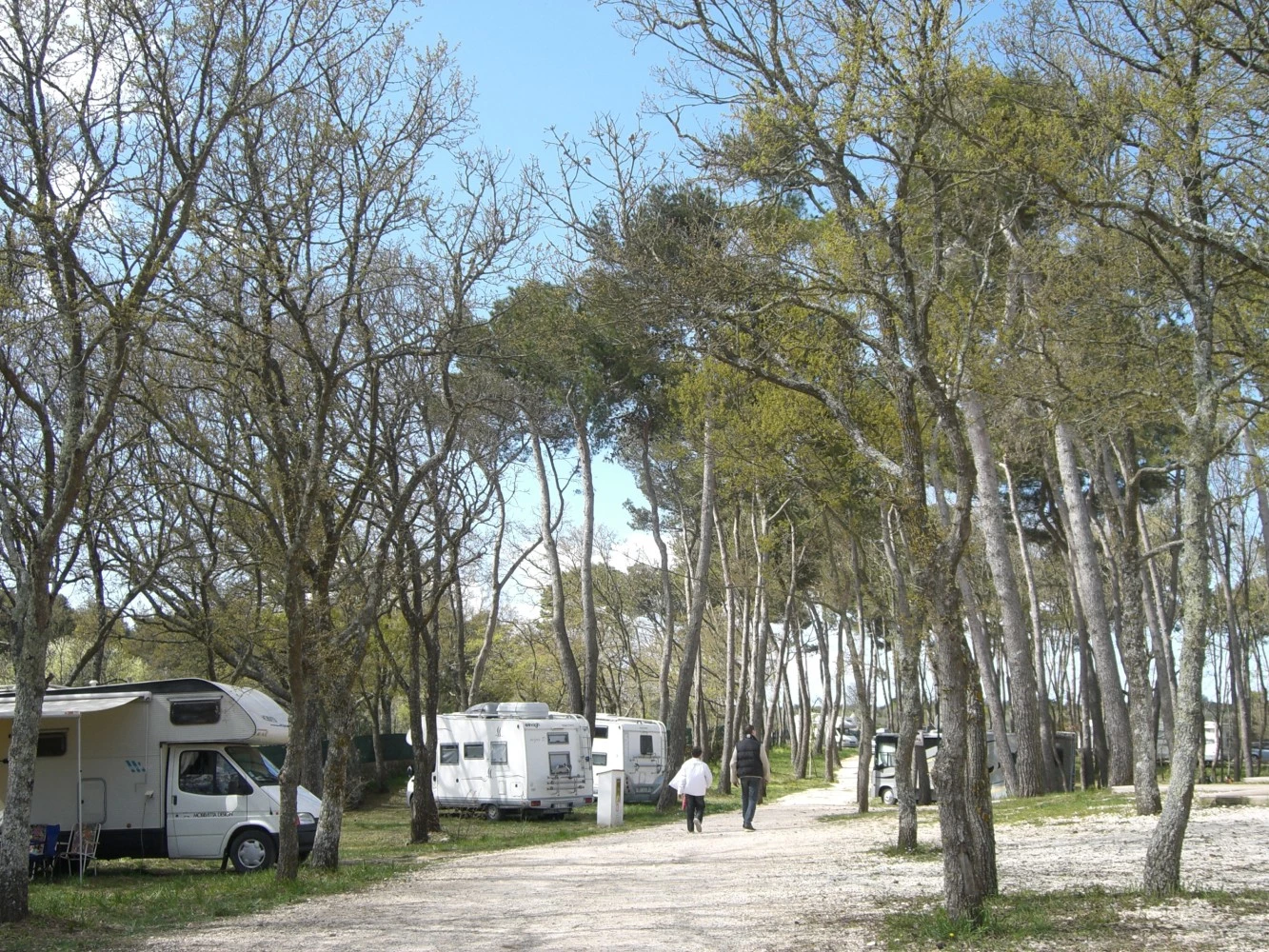 Villaggio Camping Bosco Selva Alberobello - PayTourist