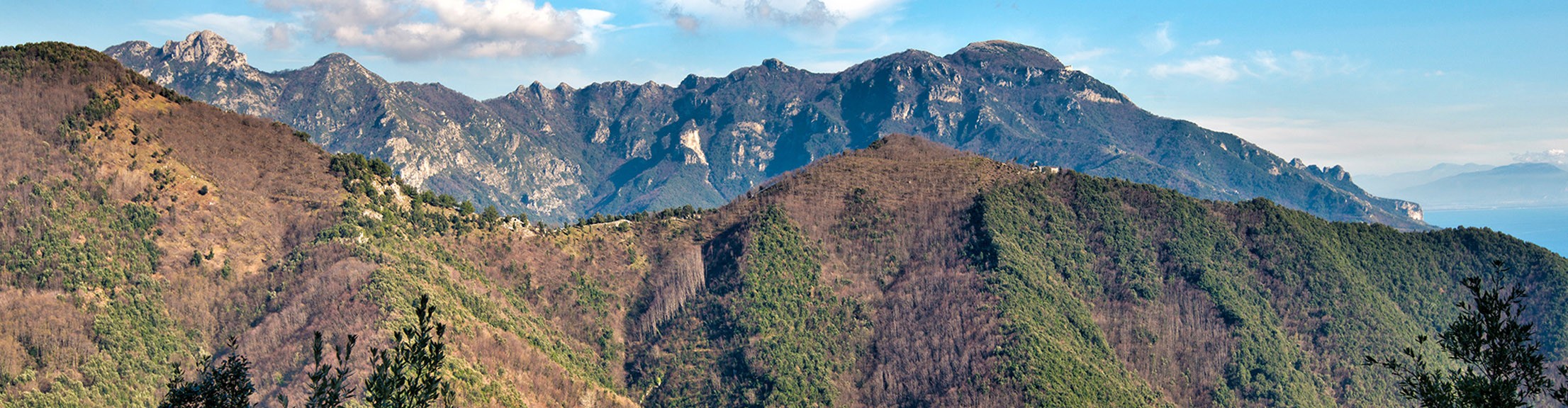 Imposta di Soggiorno - Comune di Pimonte - PayTourist